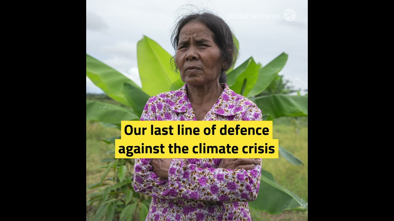 Last line of defence : 227 eco-activists killed in 2020 | Ecosaurus.tv